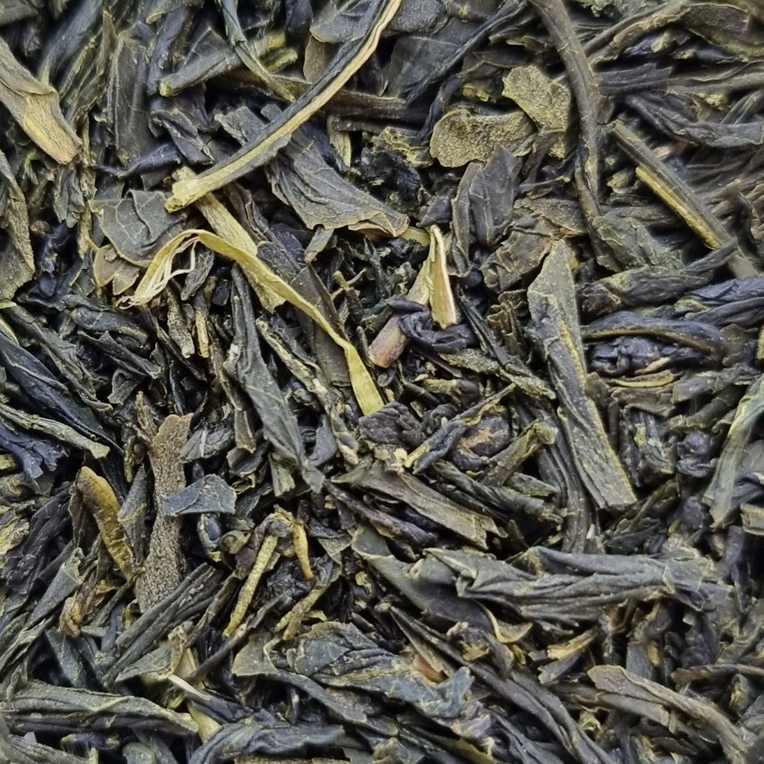 AUSTRALIAN ALPINE GREEN – Fine Infusions Tea